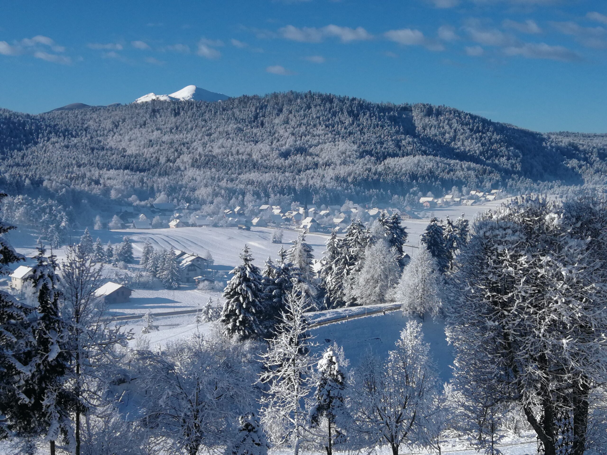 Babno Polje - Rihtarjeva Domačija Babno Polje